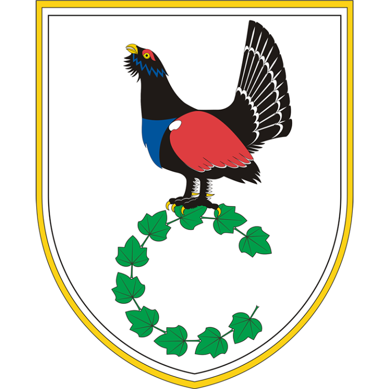 OŠ Cerkno: Dobrodelna prireditev V srcih se up budi – Občina Cerkno