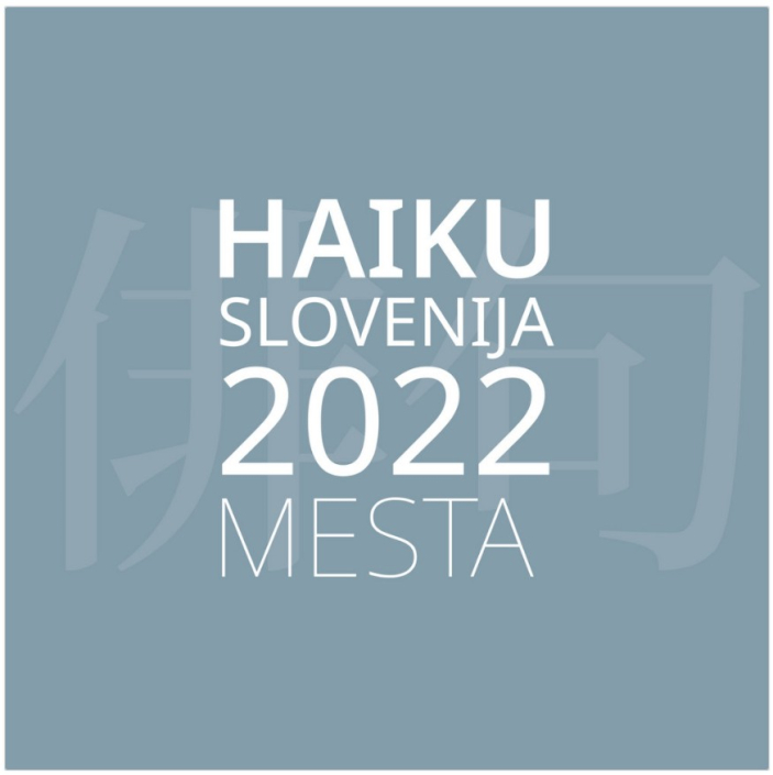 Osnovna šola Cerkno ponovno med dobitniki najvišjih nagrad na področju ...